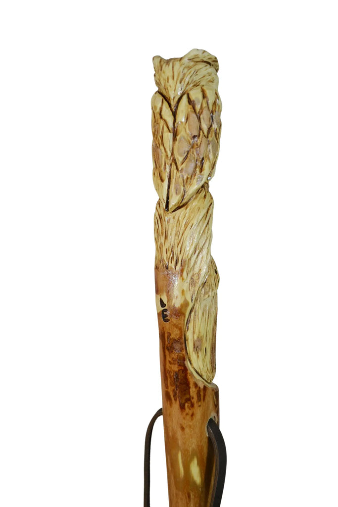 Wizard Walking Stick with Owl Carving | Inspired by Radagast – Creation ...